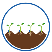 especificaciones del producto